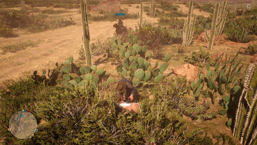 Análisis de Red Dead Online | PCGAMIA